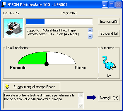 Controllo dello stato della cartuccia fotografica (Livello inchiostro)